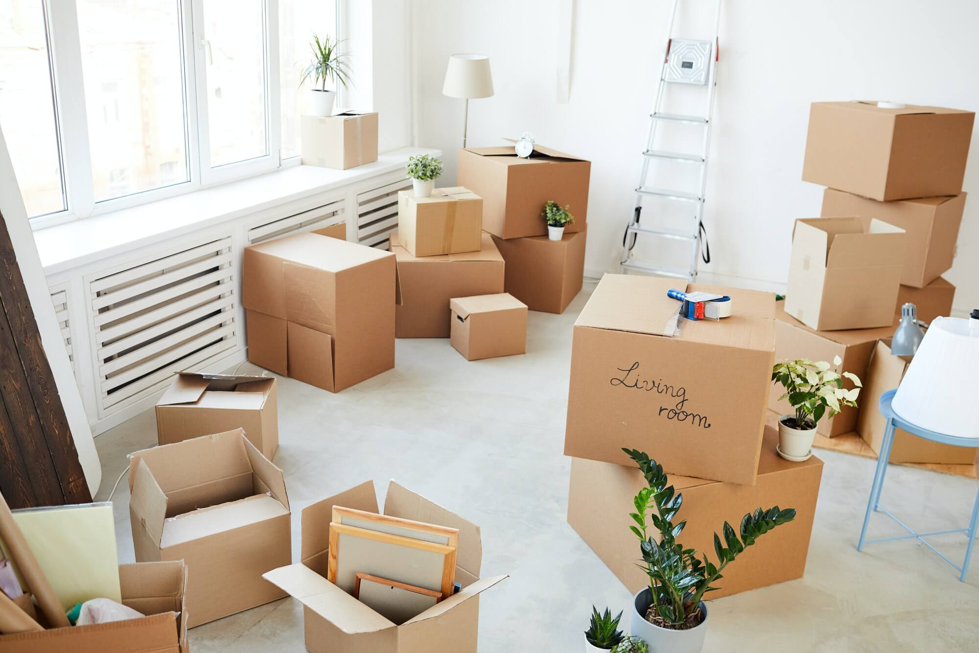 Lake Mary Movers - Professional Movers